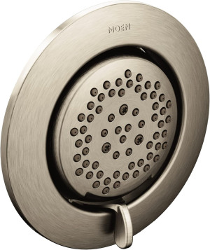 Moen Mosaic Brushed Nickel Two-Function 3.25-Inch Diameter Head Body ...